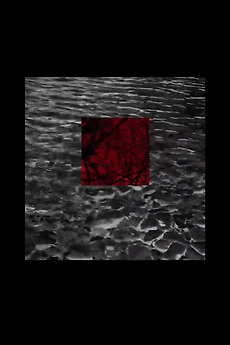 ‎flow (2017) directed by Danilo Macuco • Film + cast • Letterboxd