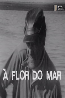 ‎À Flor do Mar (1976) directed by Ricardo Costa • Film + cast • Letterboxd