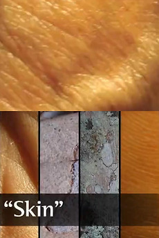 ‎Skin (2015) directed by Deanna Morse • Reviews, film + cast • Letterboxd