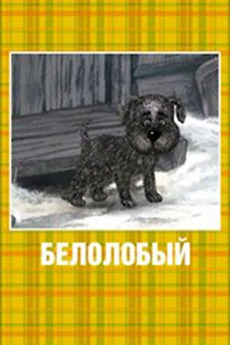 ‎White-Browed (2010) directed by Sergey Seregin • Film + cast • Letterboxd