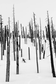 ‎The Blackcountry Journal directed by Mallory Duncan, Patrick Elmore ...