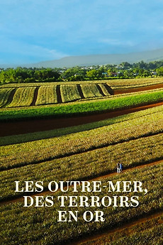 ‎Les Outre-mer, des terroirs en or (2024) directed by Hervé Corbière ...