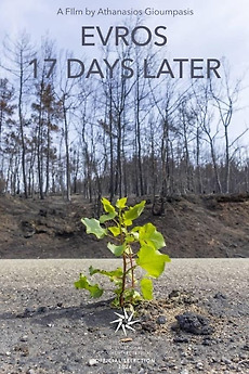‎Evros – 17 Days Later (2024) directed by Sakis Gioubasis • Reviews ...