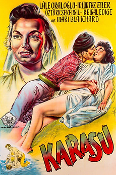 ‎Karasu (1958) directed by Turgut Demirağ • Film + cast • Letterboxd