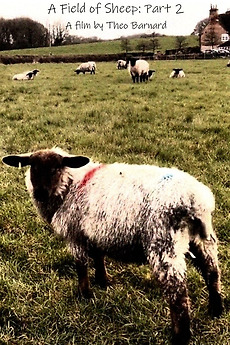 ‎A Field of Sheep Part 2 (2024) directed by Theo Barnard • Reviews ...