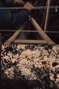 ‎The Craftsman - Part 2 directed by Gene Gregoret • Film + cast ...