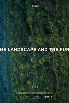 ‎The Landscape and the Fury (2024) directed by Nicole Vögele • Reviews ...