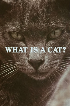 ‎What Is a Cat? (1972) directed by Amiram Amitai • Reviews, film + cast ...