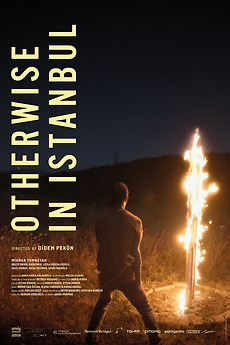 ‎Otherwise in Istanbul (2024) directed by Didem Pekün • Reviews, film ...