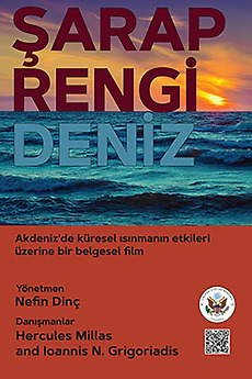 ‎Wine Dark Sea (2024) directed by Nefin Dinç • Reviews, film + cast ...