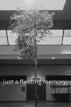 ‎just a fleeting memory. (2024) directed by Noah Archer • Film + cast • Letterboxd