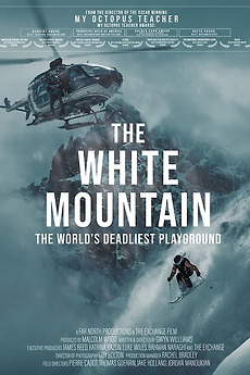 ‎The White Mountain (2024) directed by Luke Wiles, Gwyn Williams ...