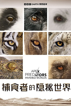 ‎Apex Predators: Invisible Worlds (2024) • Film + cast • Letterboxd