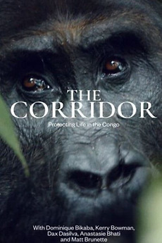 ‎The Corridor directed by Ray Klonsky, Marc Lamy • Film + cast • Letterboxd