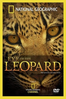 ‎Eye of the Leopard (2006) directed by Beverly Joubert, Dereck Joubert ...