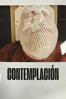 ‎Contemplation (2024) directed by Aldo Paparella • Reviews, film + cast ...