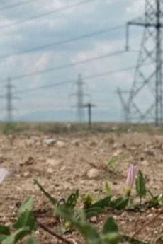 ‎Disaster Theories: Our Planet in Flames (2024) directed by Dimitris Tzetzas • Film + cast ...