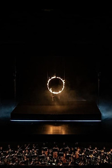 ‎Wagner: Die Walküre (2024) directed by Romeo Castellucci • Film + cast ...