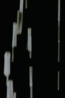 ‎Pan 2 (1974) directed by Hollis Frampton • Reviews, film + cast ...