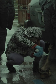 ‎In Transit (2024) directed by Lucija Brkić • Reviews, film + cast ...