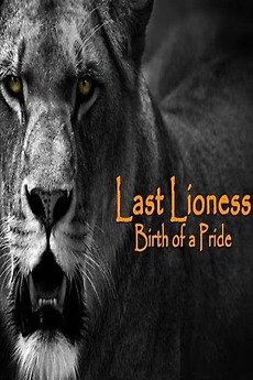 ‎The Last Lioness: Birth of a Pride (2013) directed by Bronwyn Watkins ...