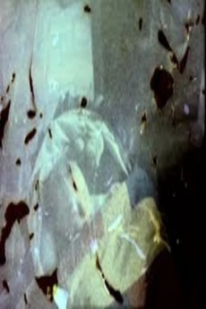 ‎Fall U.S. (2006) directed by Kathryn Ramey • Reviews, film + cast ...