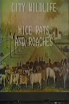 ‎City Wildlife: Mice, Rats, and Roaches (1980) directed by Christy Rupp ...