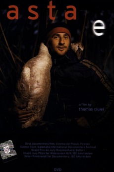 ‎Asta e (2001) directed by Thomas Ciulei • Reviews, film + cast ...