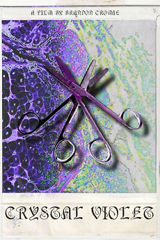 ‎Crystal Violet (2024) directed by Brandon Cromie • Reviews, film ...