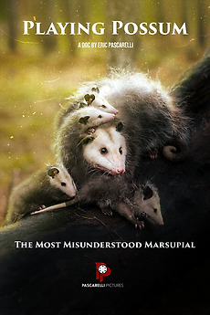 ‎Playing Possum directed by Eric Pascarelli • Film + cast • Letterboxd