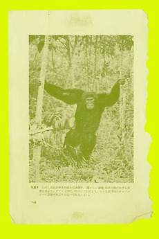 ‎Bunker (2016) directed by Doug Ashford • Film + cast • Letterboxd