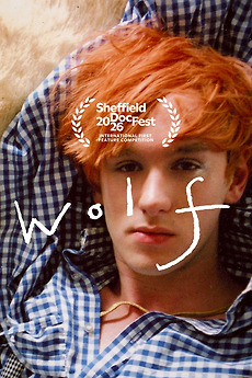 ‎WOLF (2026) directed by Christian Cargill • Reviews, film + cast ...