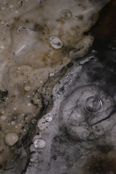 ‎Entropic Memory (2024) directed by Nicolas Brault • Reviews, film + cast • Letterboxd