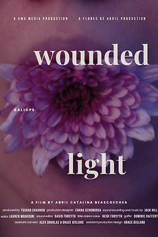 ‎Wounded Light directed by Abril Catalina Beascoechea • Film + cast ...
