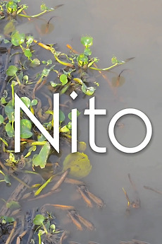 ‎Nito (2023) directed by Camila Tourn, Rocío Rodríguez • Film + cast ...