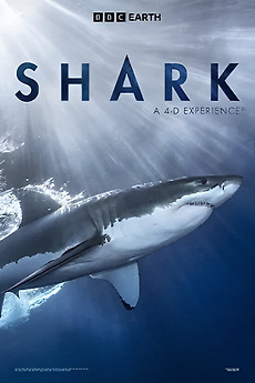 ‎Shark: A 4D Experience (2017) • Reviews, film + cast • Letterboxd