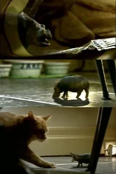 ‎North American House Hippo (1999) directed by Tim Hamilton • Reviews ...