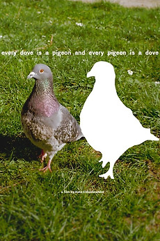 ‎every dove is a pigeon and every pigeon is a dove (2024) directed by ...
