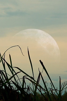 ‎Three Colors (2024) directed by Lana Gredelj • Reviews, film + cast ...