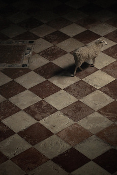 ‎Nebula (2024) directed by Giorgio Andreotta Calo • Reviews, film ...