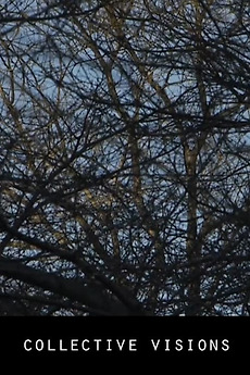 ‎Collective Visions (2016) directed by Robert Todd • Film + cast ...