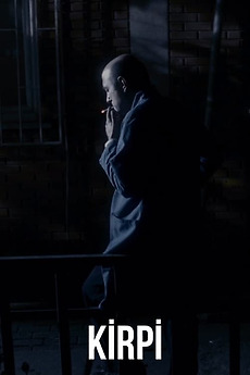 ‎Kirpi (2023) directed by Muhammet Sezer Bildiren • Reviews, film ...