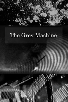‎The Grey Machine directed by Péter Lichter • Film + cast • Letterboxd