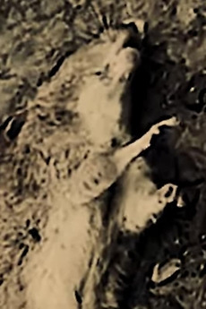 ‎Shivering With Mice (2022) directed by Roy Gentes • Film + cast ...