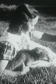 ‎Just a Fox (1938) directed by Stig Wesslén • Film + cast • Letterboxd