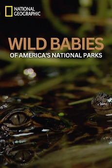 ‎Wild Babies of America's National Parks (2023) directed by Lisa Feit ...