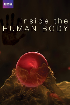 ‎Inside the Human Body (2011) directed by Nat Sharman, Annabel Gillings ...