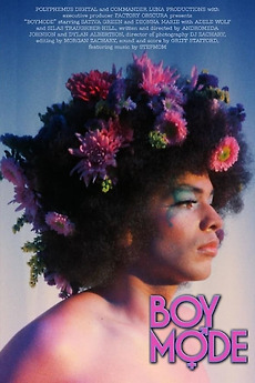 ‎Boy Mode (2024) directed by Andromeda Johnson, Dylan Olympe Albertson ...