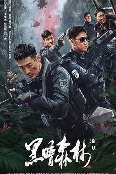 ‎Dark Forest (2024) directed by Zhe Cui • Reviews, film + cast • Letterboxd