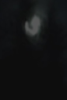 ‎Moonlight (2005) directed by Branko Sujić • Film + cast • Letterboxd